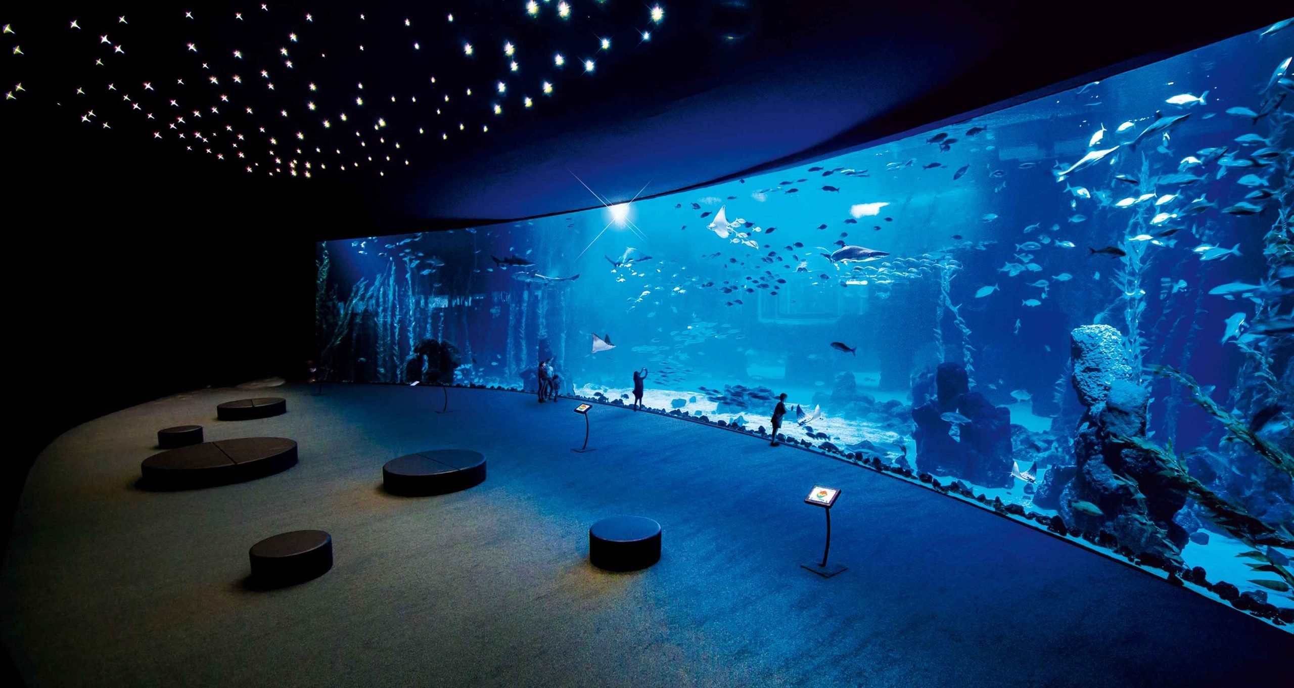 Hurghada Grand Aquarium in Hurghada, Egipt pareri, recenzii ...